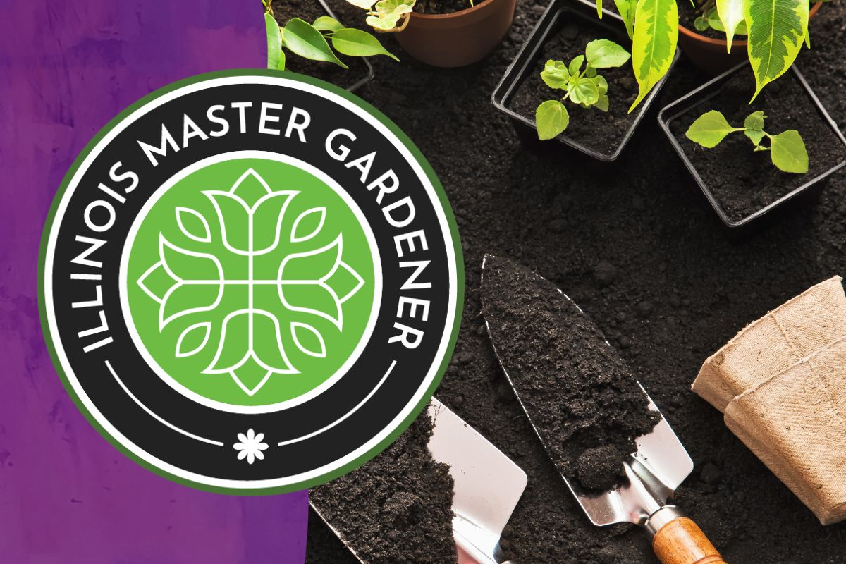 Extension offers Master Gardener Training | Serving Jo Daviess, Stephenson and Winnebago ...